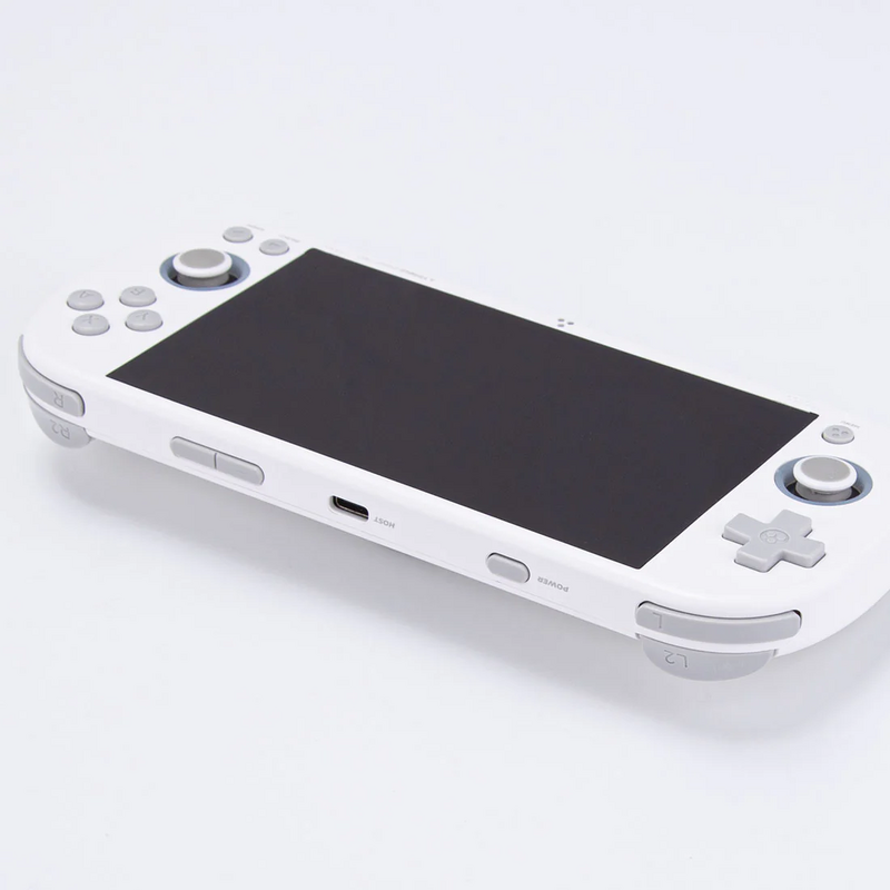 TrimUI Smart Pro Handheld